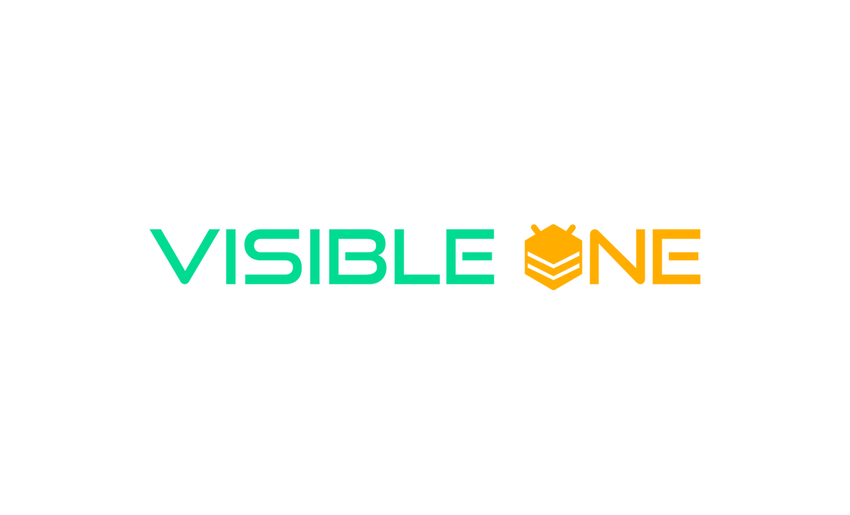 Managed Cloud And Consulting Service | Visible One